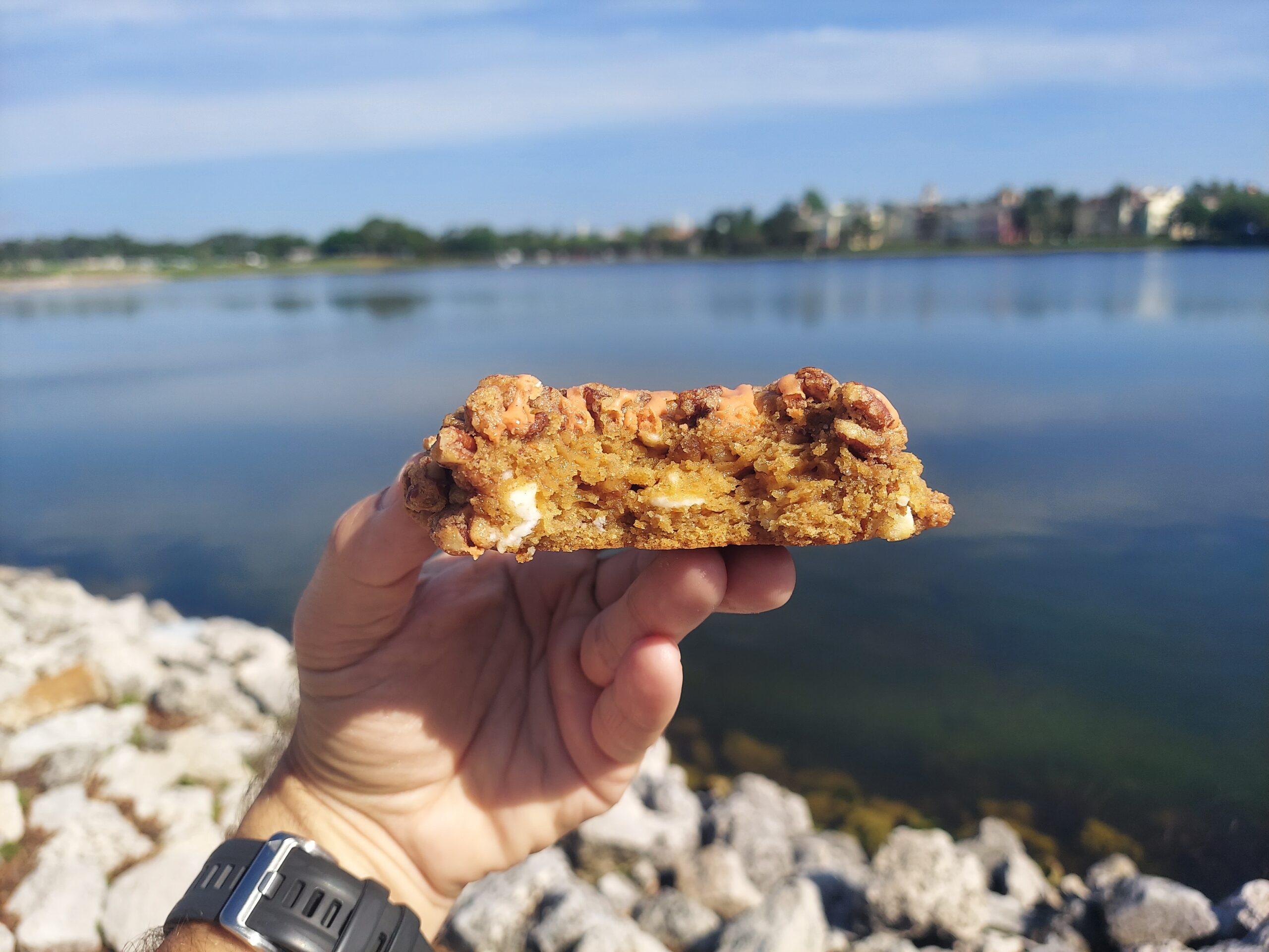 Do April Showers Bring May Flowers? April Does Bring a New Carrot Cake ...