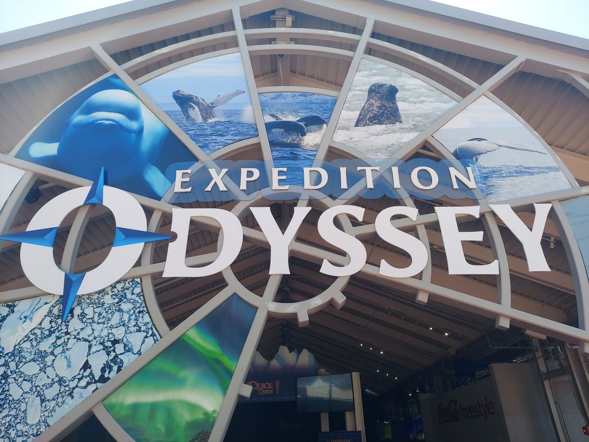 Expedition Odyssey: SeaWorld’s Newest Attraction - What to Expect
