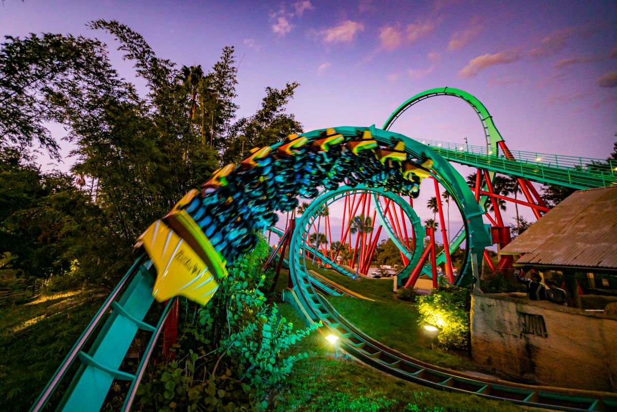 Kumba reopening at Busch Gardens Tampa Bay after testing