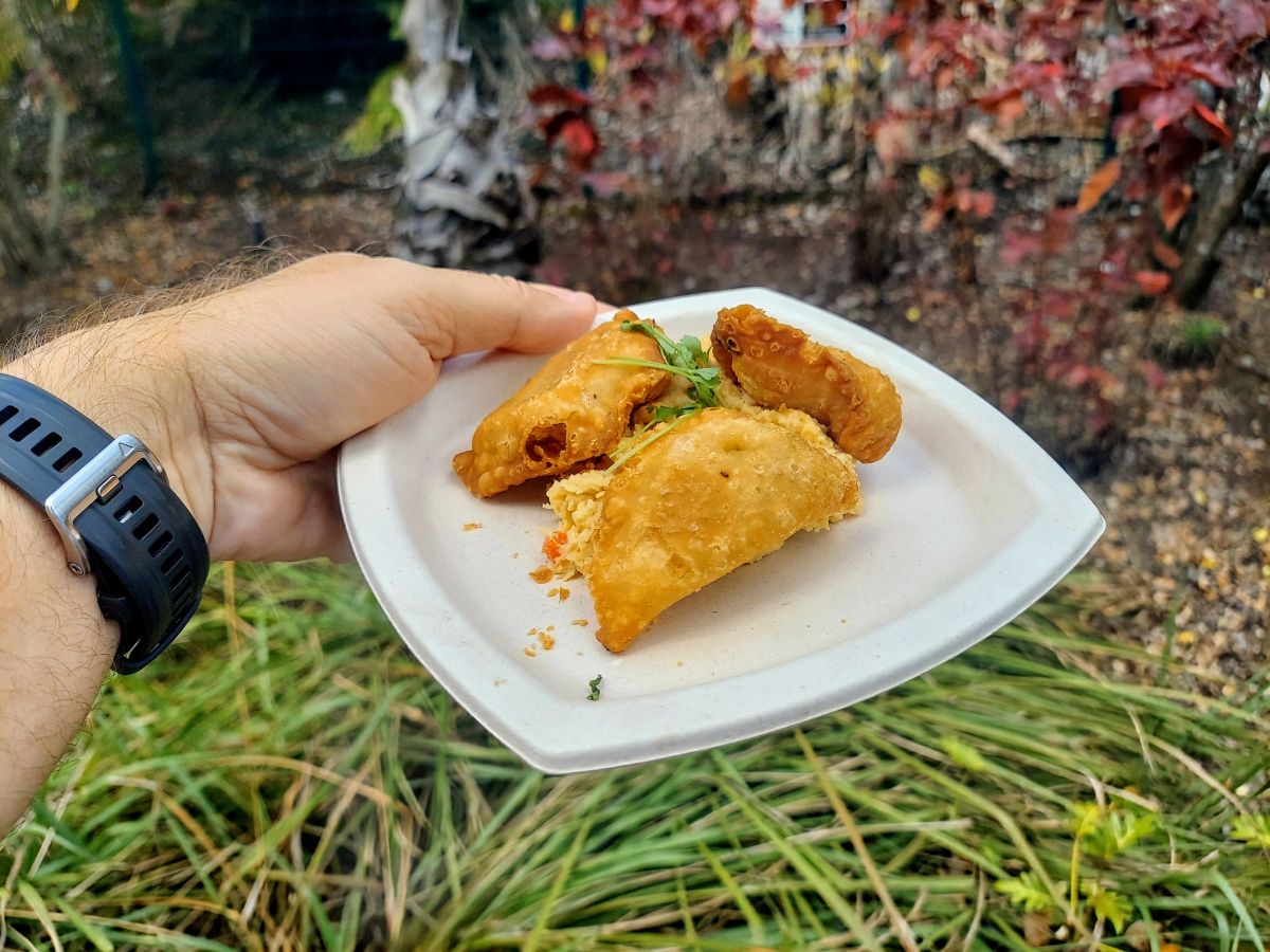 Seaworld Orlando Veggie Samosas Tested: Tasty or Not?