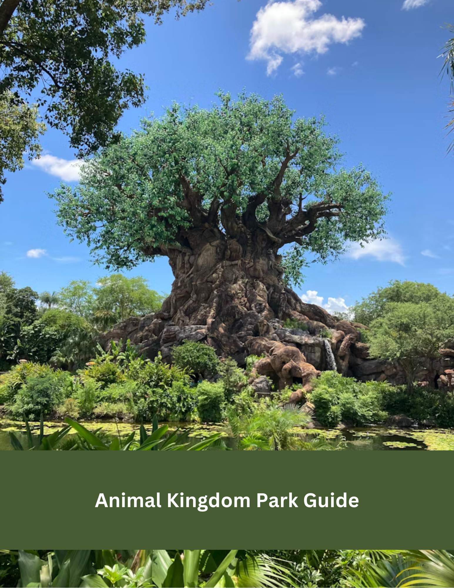 Animal Kingdom Park Guide - Main Street Magic