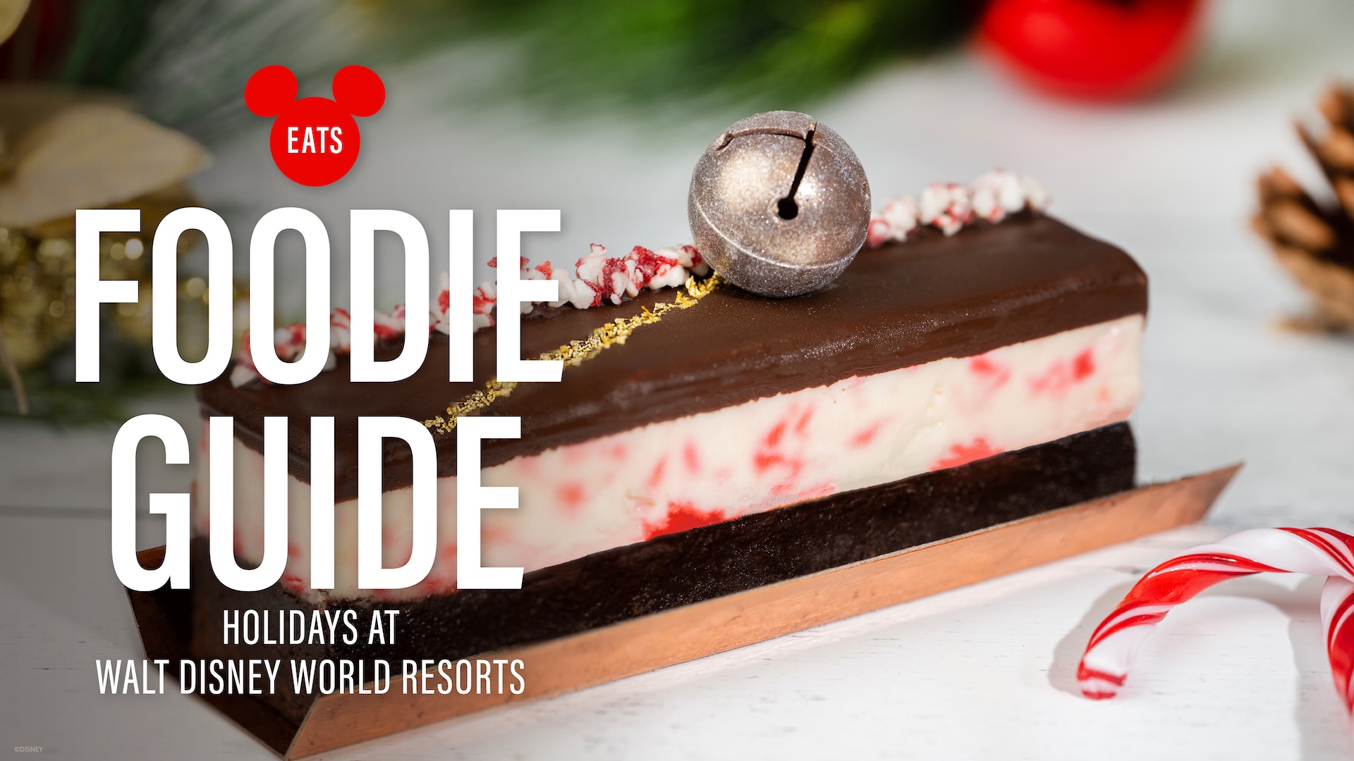 Disney Eats: Resorts at Walt Disney World Holiday Foodie Guide 2025 ...