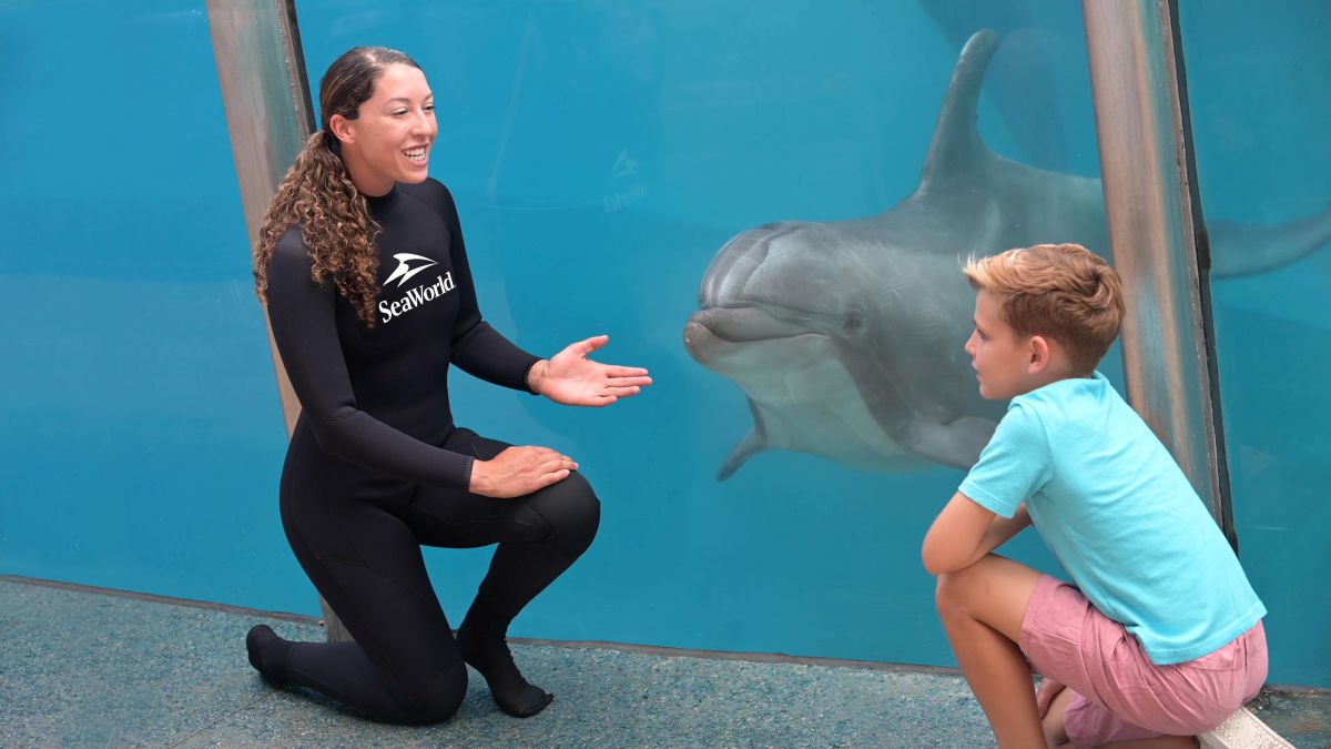 SeaWorld Orlando Inside Look 2026: Dates and Details